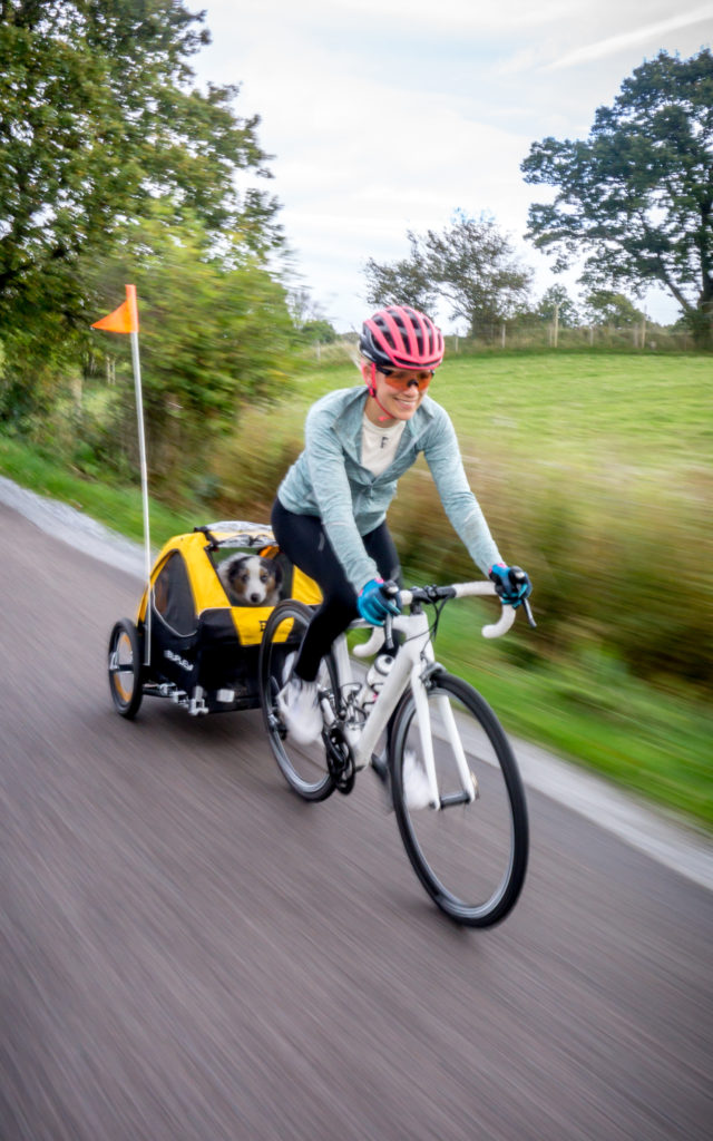 Lochaber Tourism Summit 2019, a must-attend event for Highland tourism ...